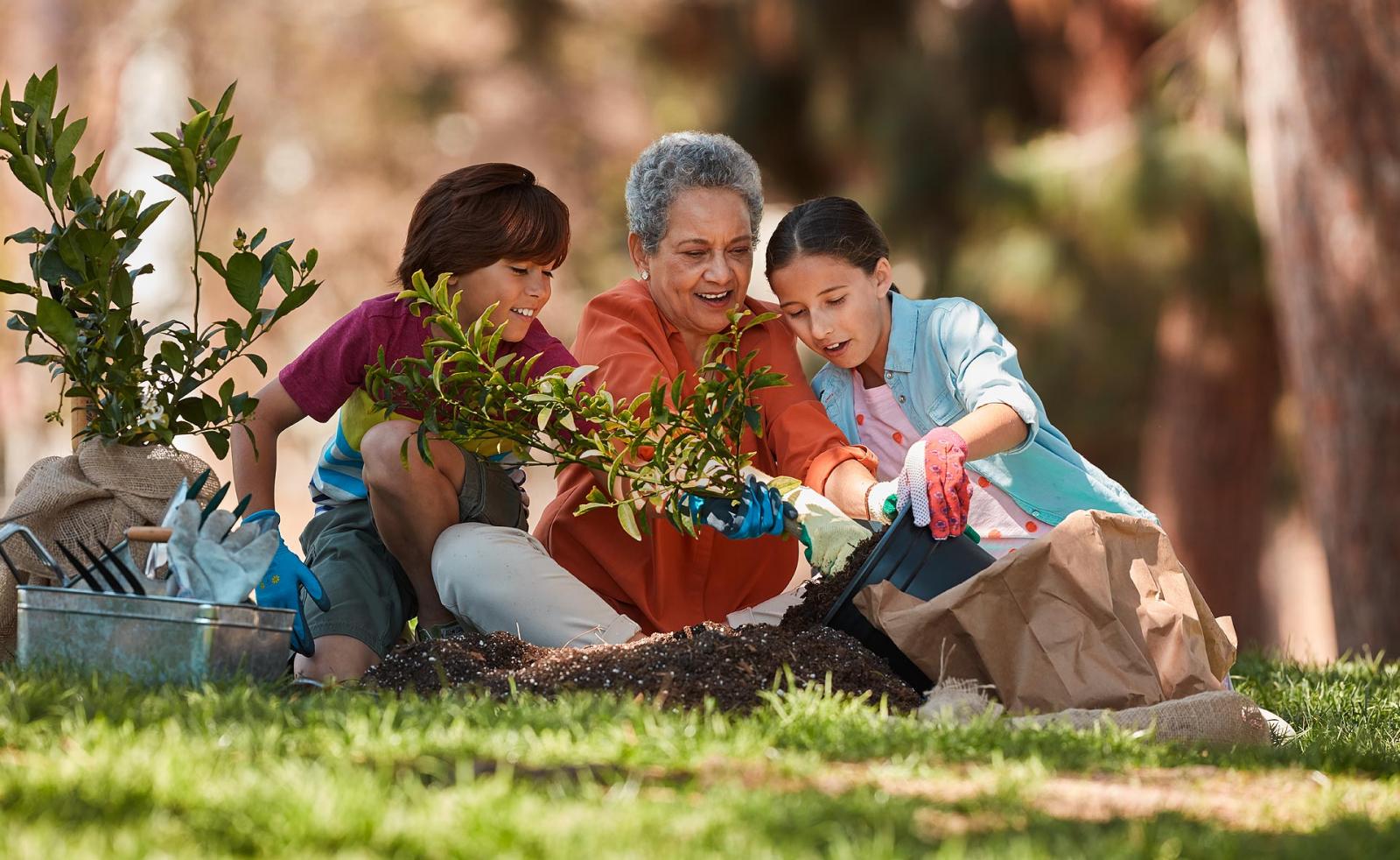 Home Page | Bessemer Trust