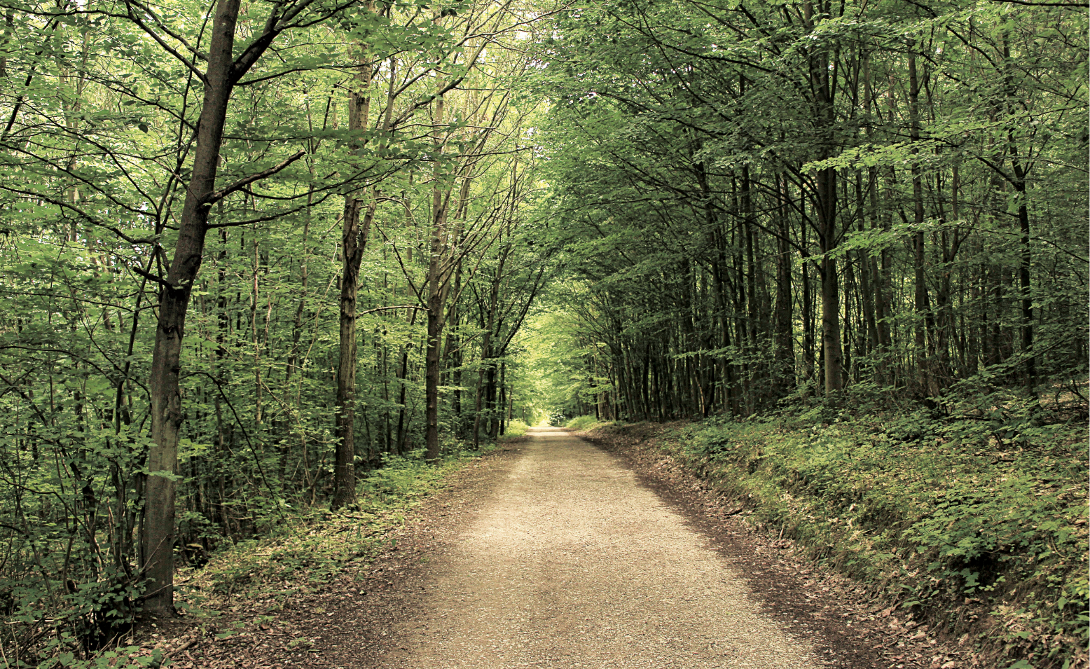 Home Page | Bessemer Trust