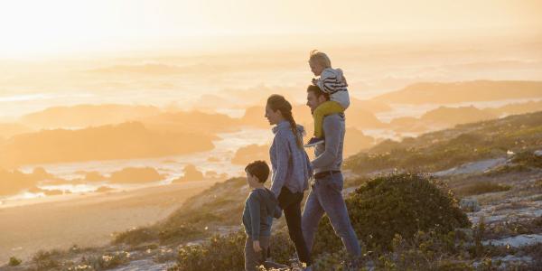 Sharing Your Vision and Values: Exploring Letters of Wishes | Bessemer ...