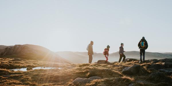 Do Roth IRA Conversions Make Sense? | Bessemer Trust